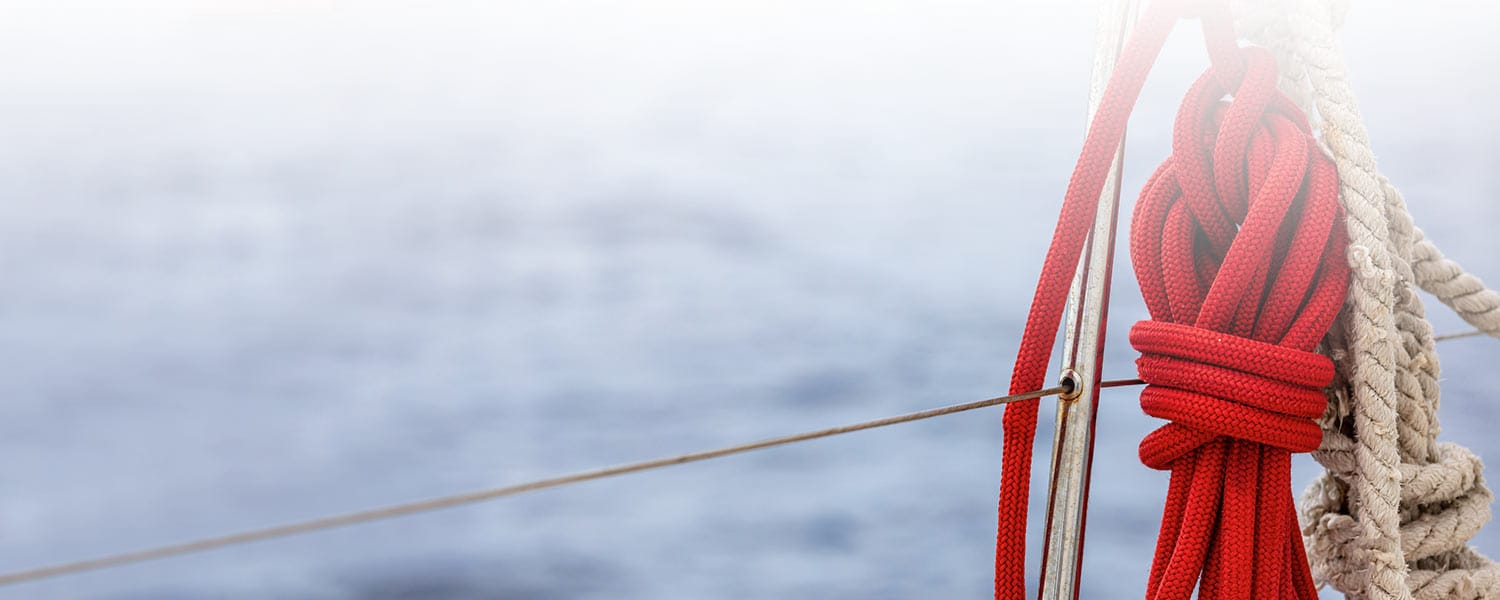 Services - Delta Consulting Group